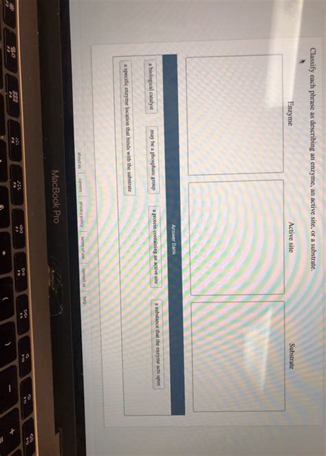 Solved Classify Each Phrase As Describing An Enzyme An