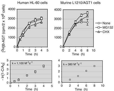 Development Of An O6 Alkylguanine Dna Alkyltransferase Assay Based On