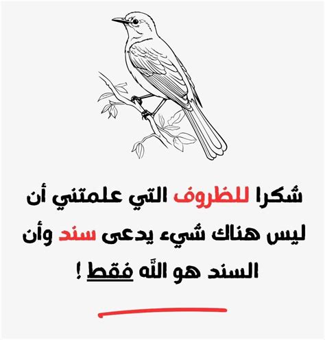 Loay Maith Posted On Linkedin