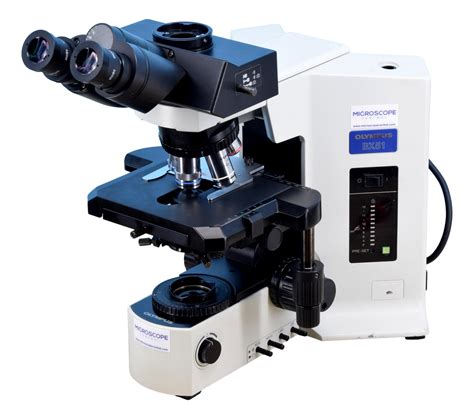 Olympus Bx51 Hematology Microscope W 50x Oil Microscope Central