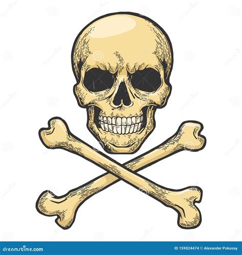 Jolly Roger Sketch Engraving Vector Stock Vector Illustration Of