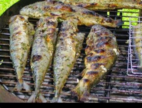 Małe Ryby Są Najzdrowsze Gotujmy Pl