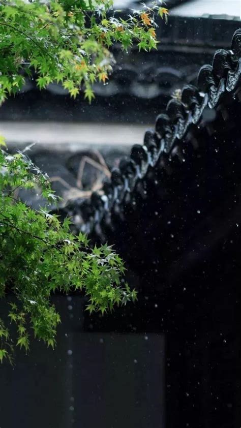 夜深人静听雨声古诗 半夜听雨夜感七言诗 夜听雨声有意境的诗句 大山谷图库