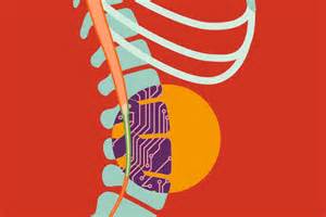 Why Do We Have Sex New Scientist