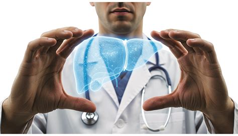 Coding Simulation Angiogram For Tumor Radioembolization Aapc Knowledge Center