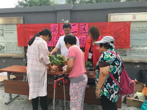 关注光明街道废旧物品换绿植绿色兑换进行中 活动