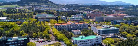 National Korean University