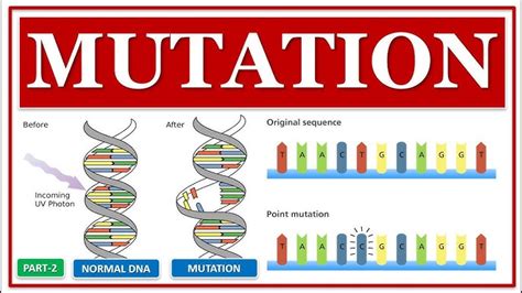 Mutagen Examples