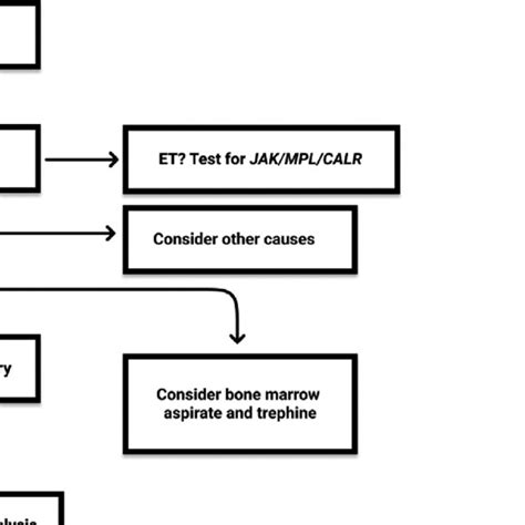 A Diagnostic Algorithm Of The Pathway For Investigation Of A Download Scientific Diagram
