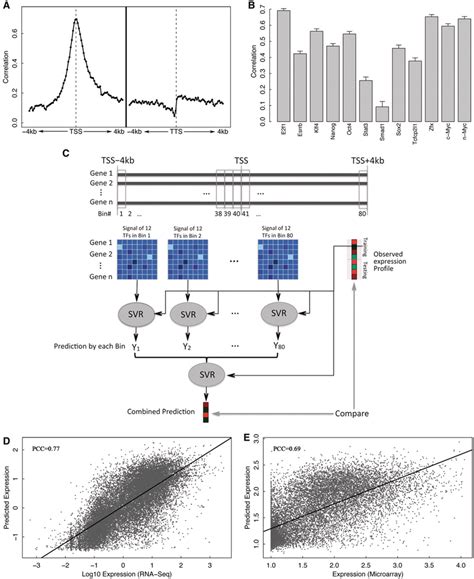 Tf Model For Gene Expression Prediction In Esc A Prediction Accuracy