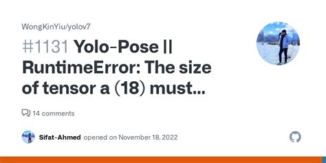 Yolo Pose RuntimeError The Size Of Tensor A Must Match The Size Of Tensor B At Non