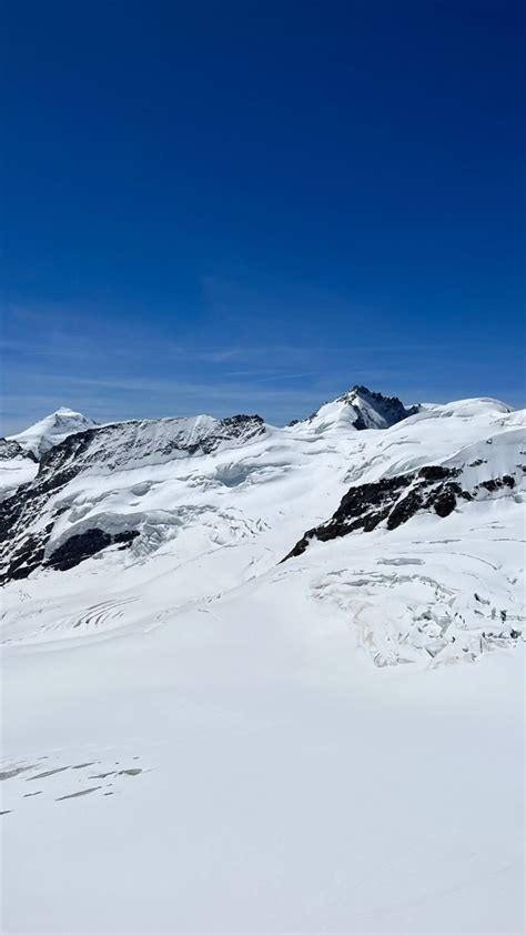 스위스 신혼여행6 대망의 융프라우 그린델발트 터미널 동신항운 Vip 패스 아이거 익스프레스 네이버 블로그