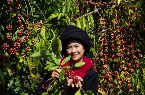 ศูนย์กสิกรรมธรรมชาติช ศูนย์กสิกรรมธรรมชาติชุมชนต้นน้ำน่าน