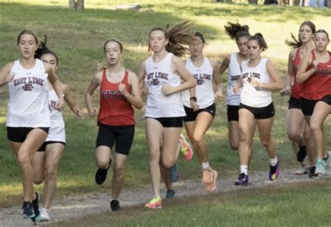 Iron Deficiency Causes Poor Performance In Athletes The Viking Saga