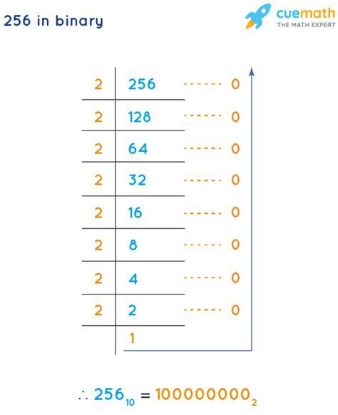 256 In Binary How To Convert 256 From Decimal To Binary