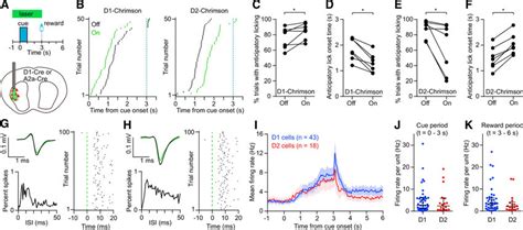 D1 And D2 Msns Drive Opposing Behavioral Effects And Show Balanced Download Scientific Diagram
