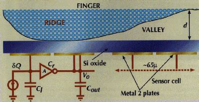 Cara Kerja Sensor Sidik Jari FINGERSPOT ABSENSI SIDIK JARI SOLO SEMARANG JOGJAKARTA MALANG
