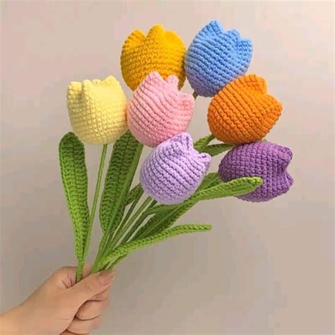 Len Tulip Hồng Cam 204