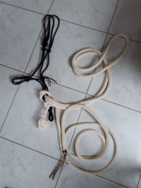 Natural Hackamore Wb Parelli Gebraucht In Basel Für Chf 50 Mit Lieferung Auf Ricardo Kaufen