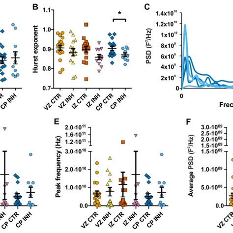 Calcium Imaging And Analysis Of Calcium Oscillations In Cortical Download Scientific Diagram