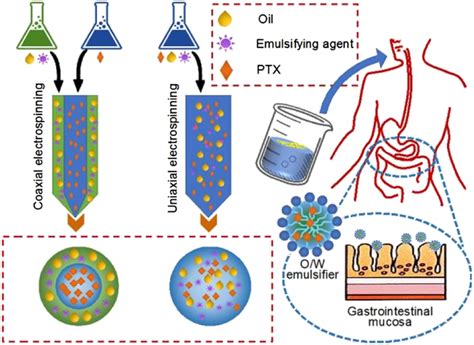 Two Strategies From Electrospun Nanofibers For Acting As Download