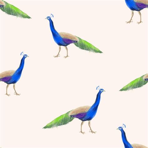 Peacock On Minimal Background Vectors And Illustrations For Free Download Freepik