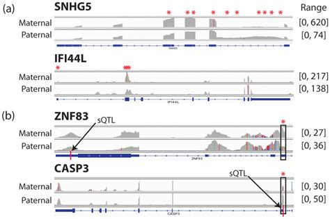 High Resolution Transcriptome Analysis With Long Read Rna Sequencing