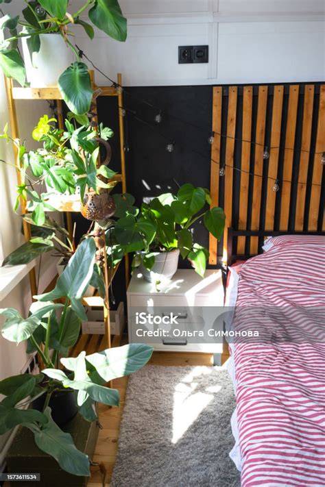 로프트 스타일의 침실 인테리어 나무 칸막이가 있는 검은 벽 금속 침대 복고풍 전구 화환 다락방의 사다리꼴 창문에 화분에 심은