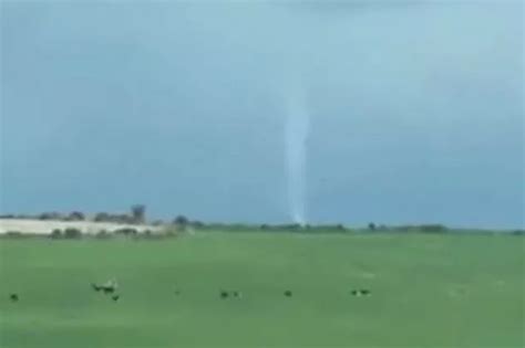 Incredible Footage Shows Mini Tornado Hitting Cork Farm Sending Cows Running Irish Mirror Online