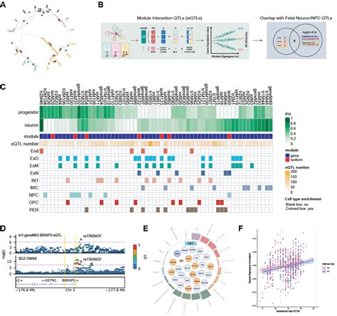 Module Interacting Eqtls And Context Specific Gwas Colocalization A
