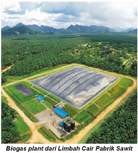 Penghematan Pupuk Di Perkebunan Sawit Dengan Biochar Dan Kompos Dari