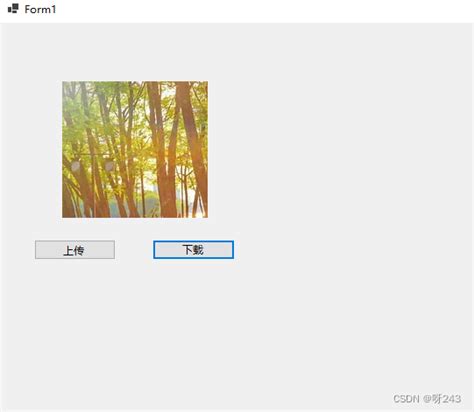 基于winform的图片的上传、下载、读取 winform下载图片 csdn博客
