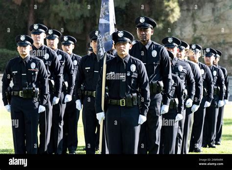 Lapd Ranks Los Angeles Police Department Hierarchy Hierarchy