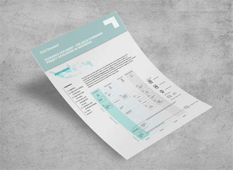 Guidance Document For Project Developers With Gold Standard Projects