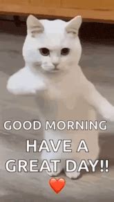 Morning  Good Morning Tumblr Animated  Cool S Nap Corps