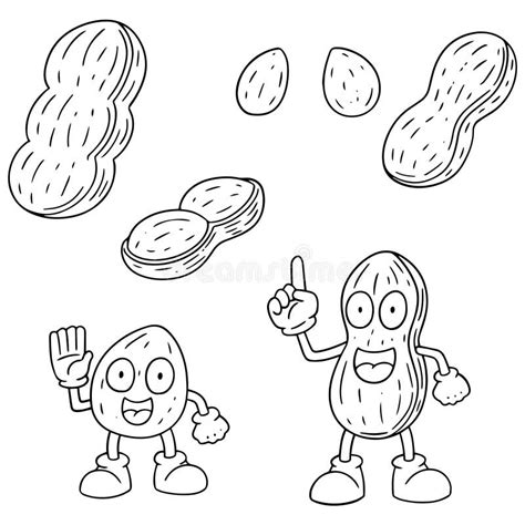 Boiled Peanut Stock Illustrations 115 Boiled Peanut Stock