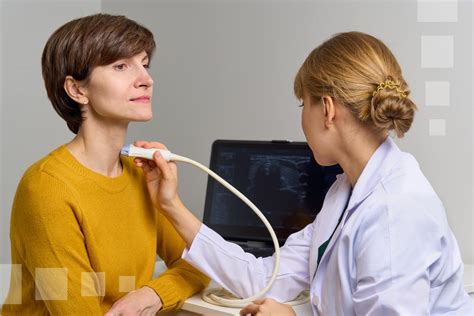 Facts About Dissection At Corrina Davis Blog