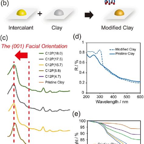 Tomoki Ogoshi Kanazawa University Kanazawa Kindai