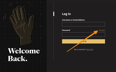 I Forgot My Password