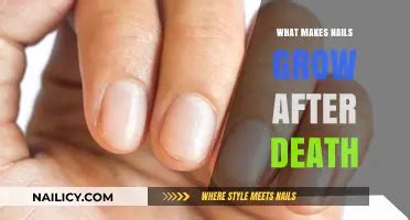 The Science Of Nail Growth Understanding The Human Body Nailicy