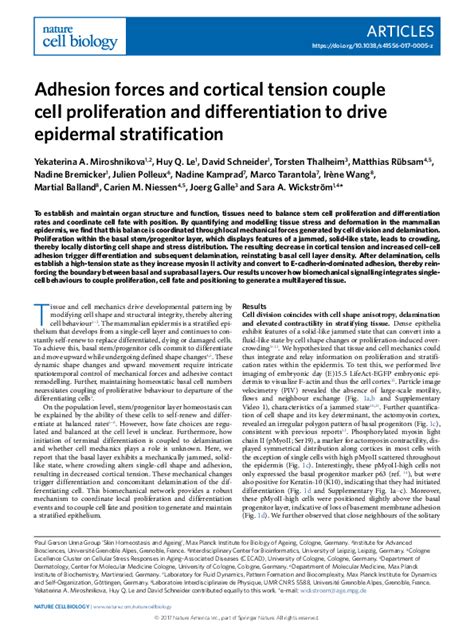 Pdf Adhesion Forces And Cortical Tension Couple Cell Proliferation And Differentiation To