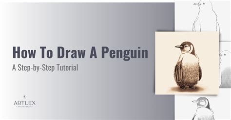How To Draw A Penguin A Step By Step Art Tutorial Artlex