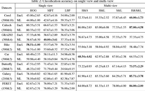 multi view metric learning for multi instance image classification