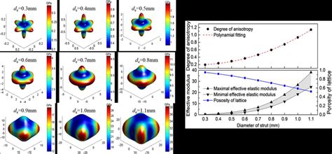 The Spatial Distribution Of Effective Elastic Modulus Varied With Strut