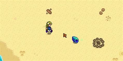 Where To Find Rainbow Shell In Stardew Valley