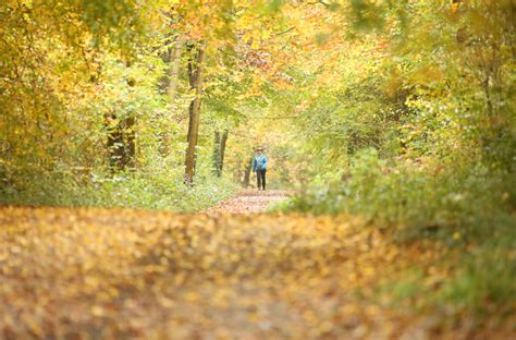 Menopause And Strengthening Your Pelvic Floor Lets Walk Nordic