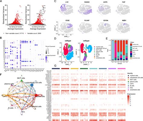 overview of aggrephagy related genes in single cell os data a top 10