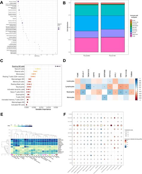Pathway Enrichment Analysis Cellular Deconvolution And Download Scientific Diagram