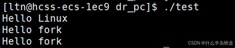 【linux系统】进程的影分身之术：fork系统调用与getpid的探秘 fork函数和getpid函数 csdn博客