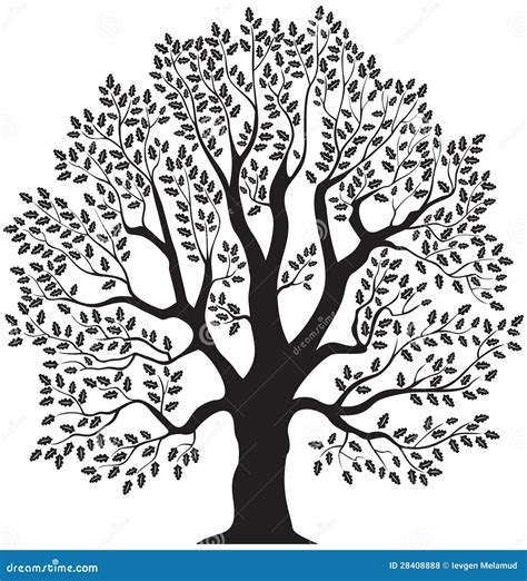 Oak Tree Vector Free